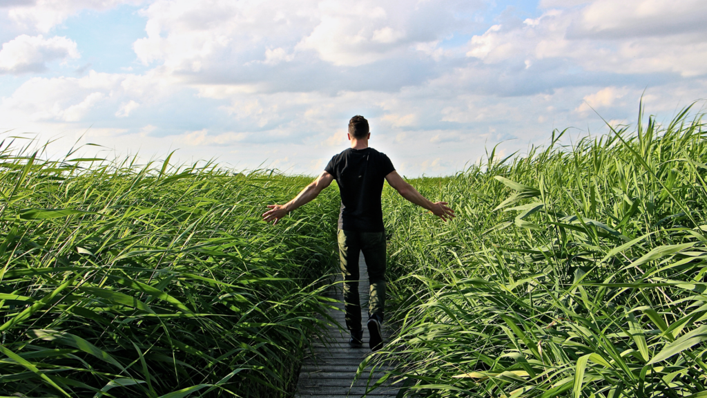 Services - Izzy's House